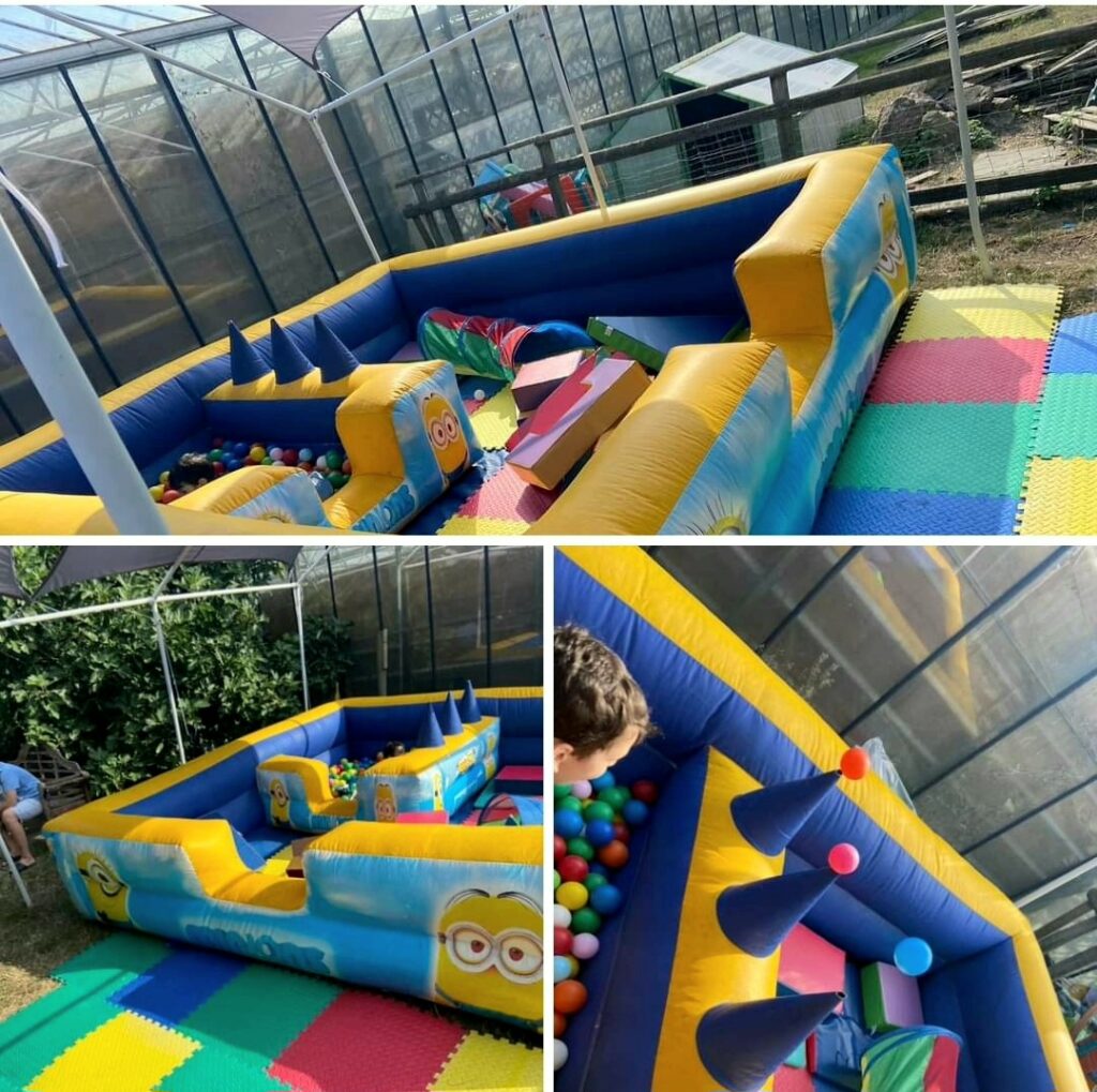 Minions soft play surround Slough Windsor High Wycombe